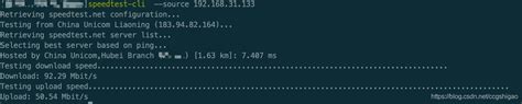 网络测速神器：speedtest深度指南 为什么linux使用speedtest上传速度慢 csdn博客