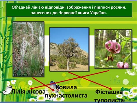 Чому зникають рослини тварини