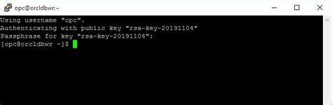Oracle Cloud Vm Machine Create Vm Machine For Oracle 19c Asm Configuration Oracledbwr