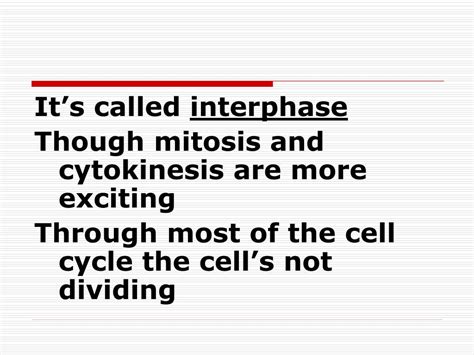 Ppt The Cell Cycle Rap Powerpoint Presentation Free Download Id