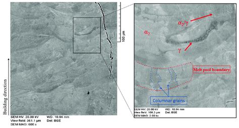 bse sem image for the as built microstructure download scientific