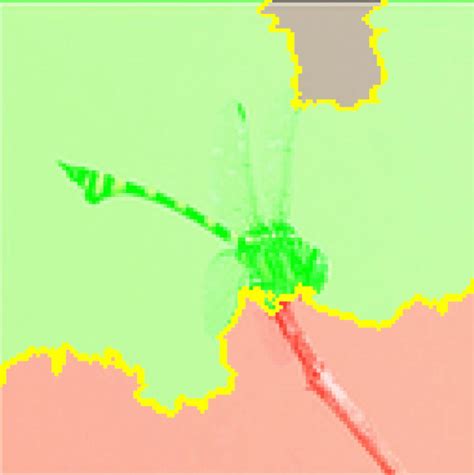 Dragonfly Net Architecture Download Scientific Diagram