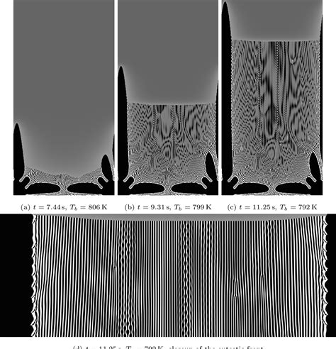 figure 18 from simulation of dendritic eutectic growth with the phase