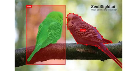 Neurotechnology Releases New Version Of Sentisight Ai Image Labeling