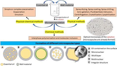 Simplified Scheme Of Microencapsulation Methods Of Essential Oils And