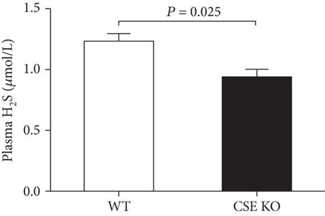 Diurnal Variations In Ef And Fs Were Blunted In Cse Ko Mice A Plasma