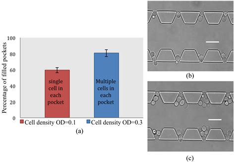 Micromachines Free Full Text Hydrodynamic Cell Trapping For High Throughput Single Cell