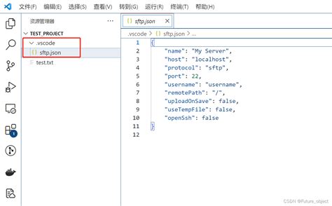 vscode使用sftp上传 vscode sftp json csdn博客