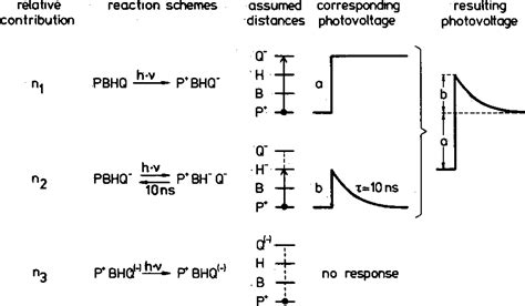 Figure 1 From Spatial Correlation Between Primary Redox Components In