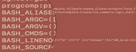 Understanding And Modifying Shell Options In Linux By Linux School