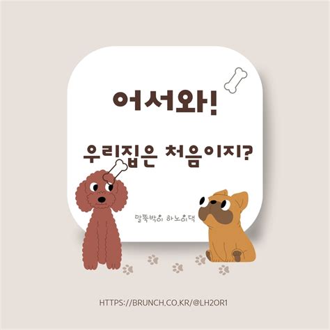 브런치북 어서와 우리집은 처음이지