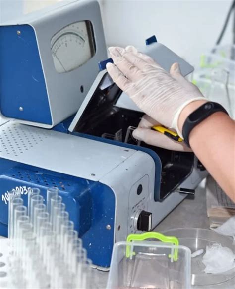 Dose Formulation Analysis Glp Formulation Sample Analysis Northeast
