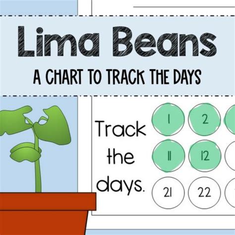 Lima Bean Bundle Fun Activities While Growing Lima Bean Plants Made By Teachers