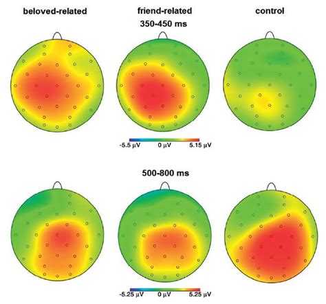 Scalp Topographies Of The Old New Effect In The Ms And Download High