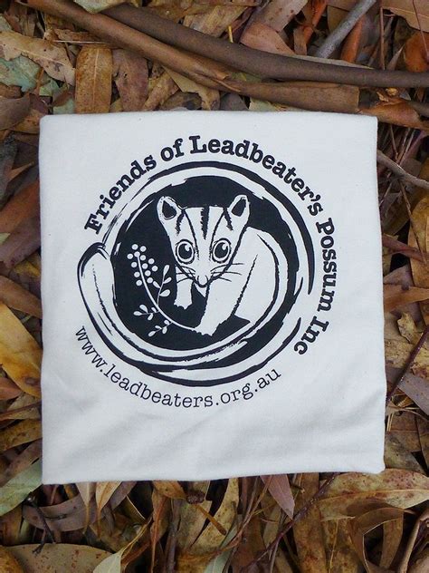 Flbp T Shirt Light Grey With Black Logo Friends Of Leadbeaters