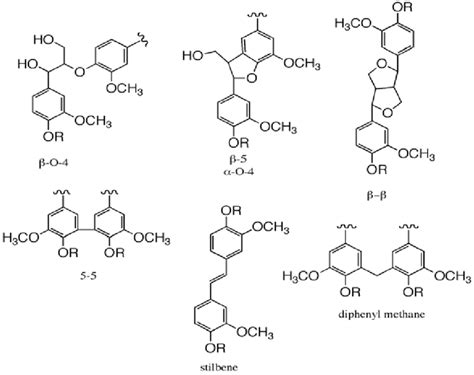 Lignin Structure