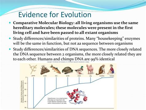 ppt evolution descent with modification powerpoint presentation