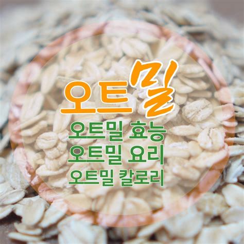 오트밀 먹는법 칼로리 효능 다이어트 오트밀 요리 오트밀우유 오트밀죽 오트밀과자 네이버 블로그