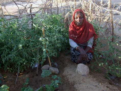 Eritrea Green Villages Wasserstiftung