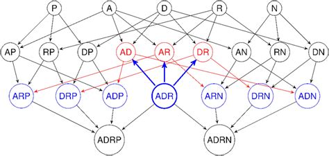 Getting The Siblings ARP DRP ADP ARN DRN And ADN Blue From An