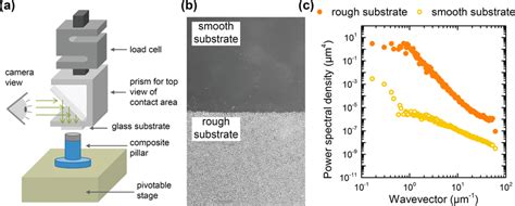 Experimental Setup For Adhesion Measurements On Smooth And Rough Download Scientific Diagram