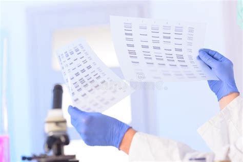 Studying DNA Code Profiling Stock Image Image Of Genes Biotechnology