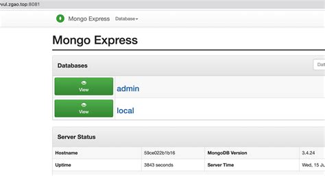 Mongo Express
