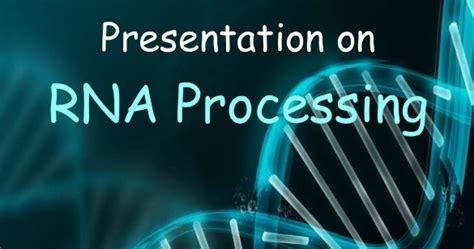RNA Processing In Eukaryotes