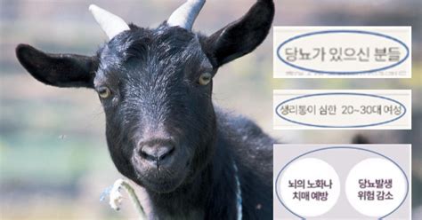 아무리 몸에 좋아도 이걸 먹어” 상상외로 많이 먹는다허위광고까지 기승