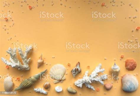 흰색 산호 나뭇 가지의 구성 여러 작은 껍질 돌 텍스트 에 대한 공간이 옅은 오렌지 노란색 배경에 프레임의 형태로 가장자리를 따라 흩어져 흰색과 오렌지 결정 소라 고둥