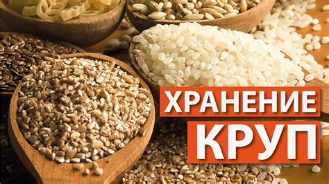 ОРГАНИЗАЦИЯ и ХРАНЕНИЕ на КУХНЕ ХРАНЕНИЕ КРУП Светлана Бисярина - YouTube