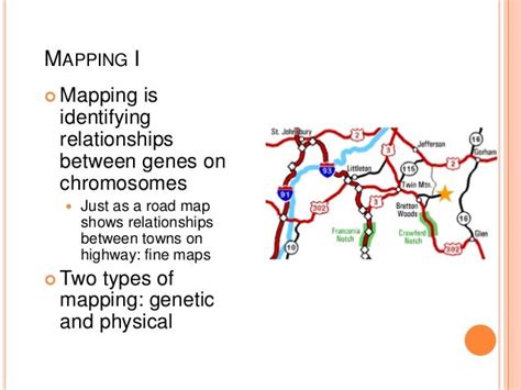 Molecular Mapping