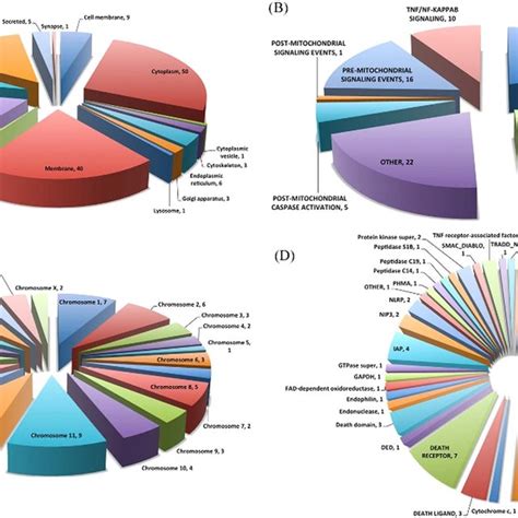 Bar Graph Showing The Count Of Mutation Types Download Scientific