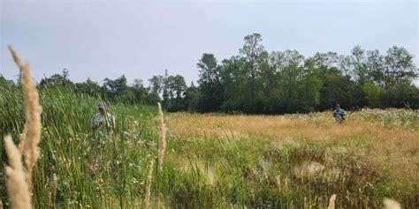 Photographing The Wild Park Biodiversity Monitoring Program