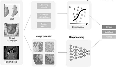 Feature Extraction From Primary Diagnostic Imaging Modalities To Train Download Scientific