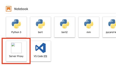 Use Custom Icon On Launcher Item JupyterLab Jupyter Community Forum