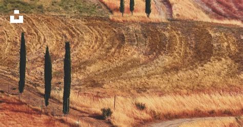 주황색과 빨간색 잔디 밭의 랜드마크 사진 와 길 와 녹색 나무 와 사진 Unsplash의 무료 이탈리아 이미지