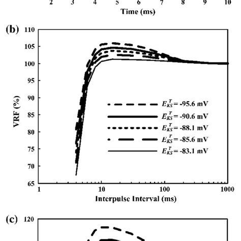 A Slow Potassium Current In The Outermost Tubular Compartment I 20 Download Scientific