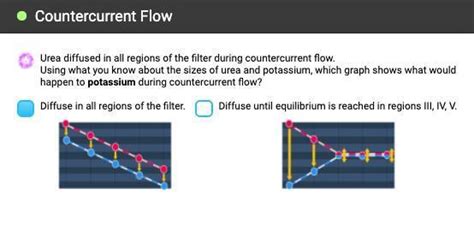 [free] Help Please Quickly Give An Explanation
