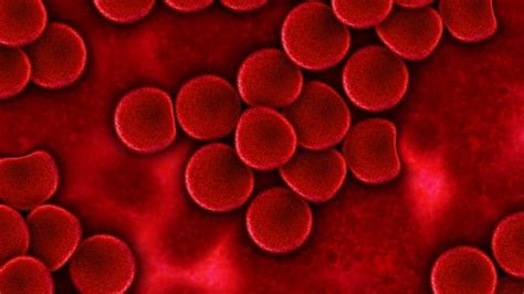 Fda Approves New Drug For Thrombocytopenia Treatment Patient Worthy
