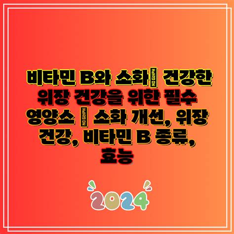 비타민 B와 소화 건강한 위장 건강을 위한 필수 영양소 소화 개선 위장 건강 비타민 B 종류 효능