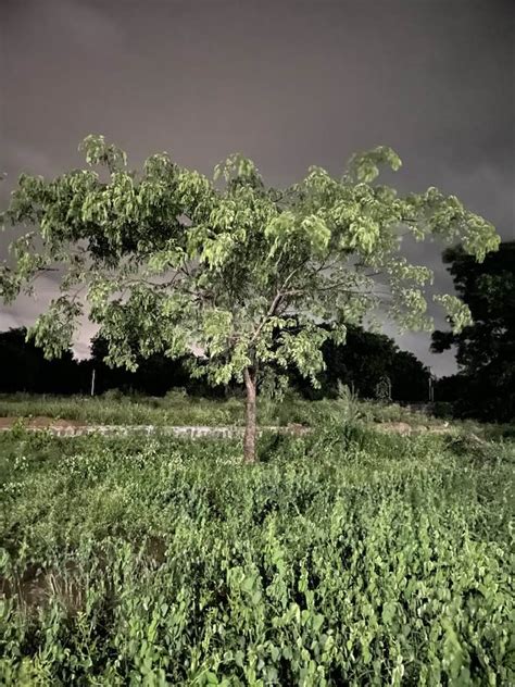 Induction Classes Patna