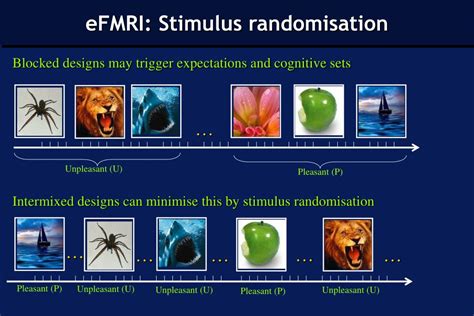Ppt Event Related Fmri Powerpoint Presentation Free Download Id