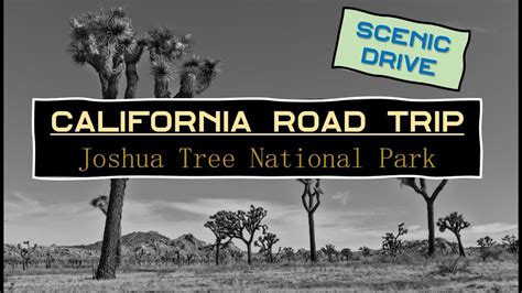 A Drive Through Joshua Tree National Park 4k Hyperlapse Youtube