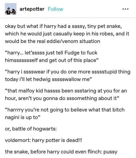 Pin By Helluolibrorum13 On Harry Potter Fantastic Beasts Harry