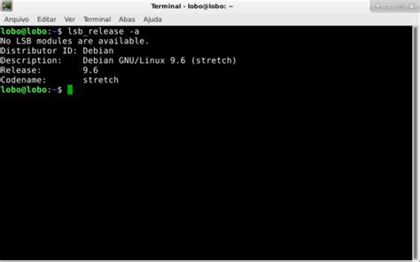 Lan Ado Debian Stretch