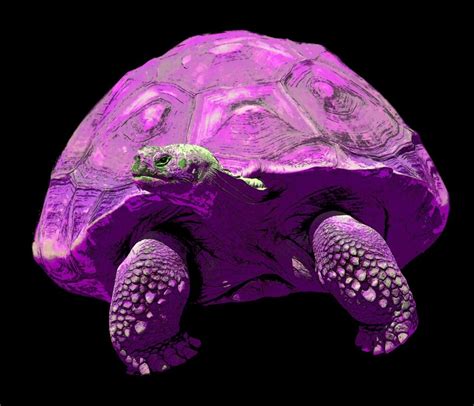 Exploring Karapace Blog Series Part 4—auto Register Schemas