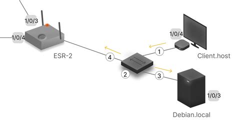 Arp Protocol Explained How It Works And How Arp Spoofing Attacks Happen