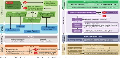 Figure 1 From Twelve Quick Steps For Genome Assembly And Annotation In The Classroom Semantic
