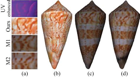 A Paern Closeup B Our Result C Geomagic M1 D Conformal